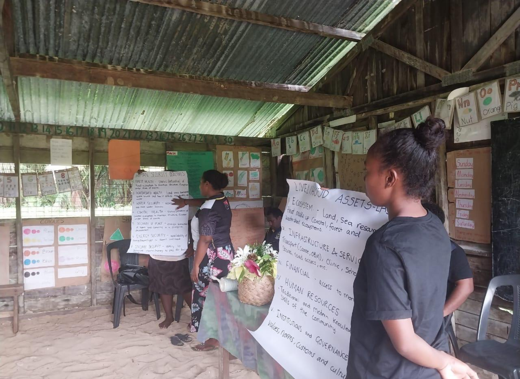 Building resilience in remote communities of the Solomon Islands: SIIVA ...